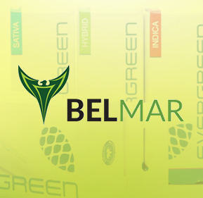 BelMar Store - Alice Wonder Web Design Studio